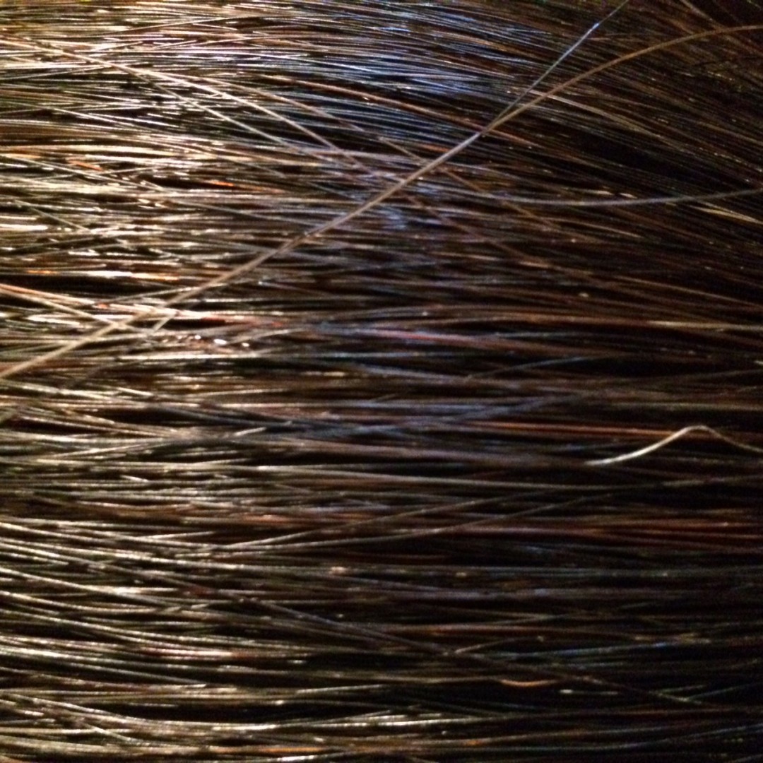 Natural Hunter Loop | Tail Source