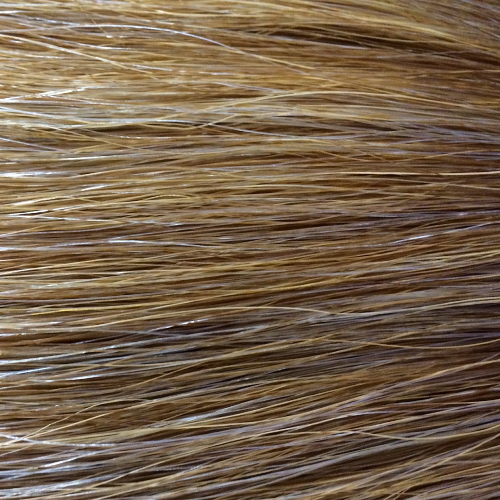 Flaxen Sorrel [Natural] | Tail Source