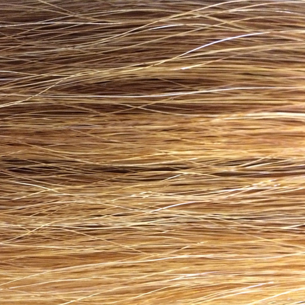 Natural Hunter Loop | Tail Source