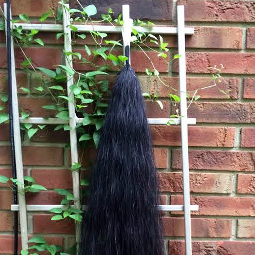 Tail Source | The Greatest Gear for Your Rear!